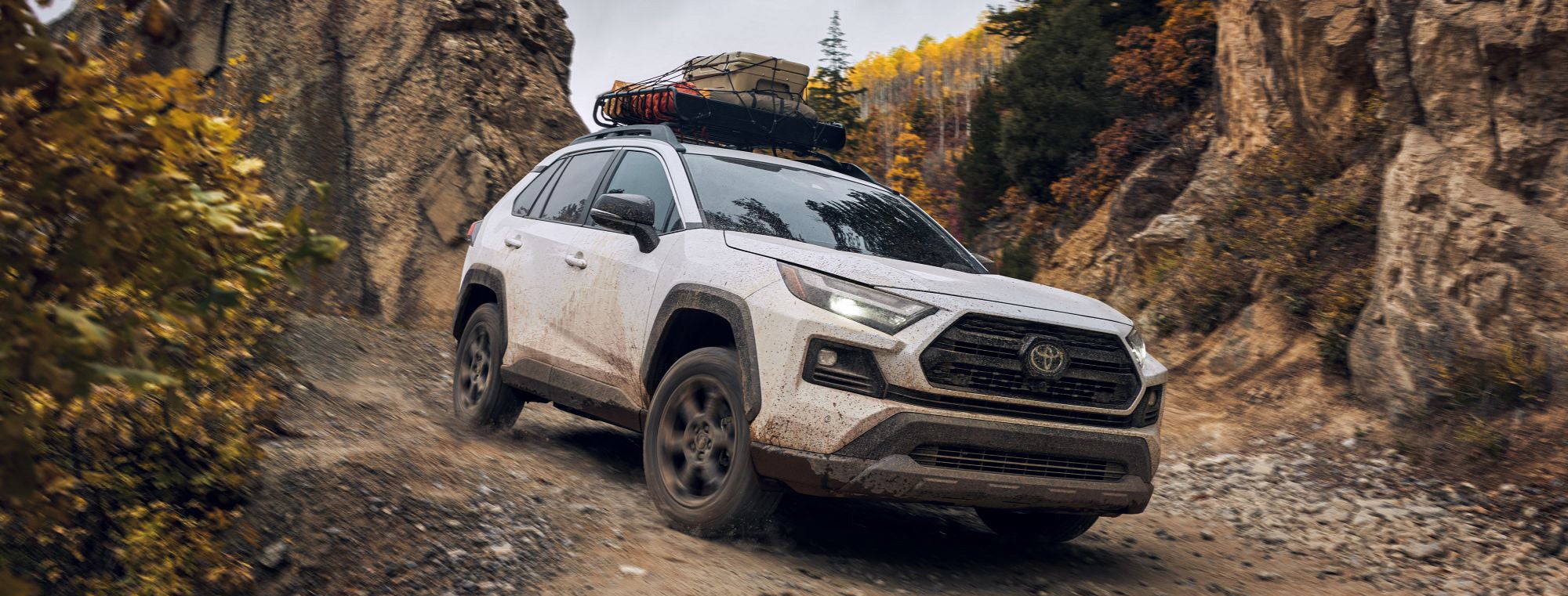 Newbold Toyota Dealership in O'Fallon, IL